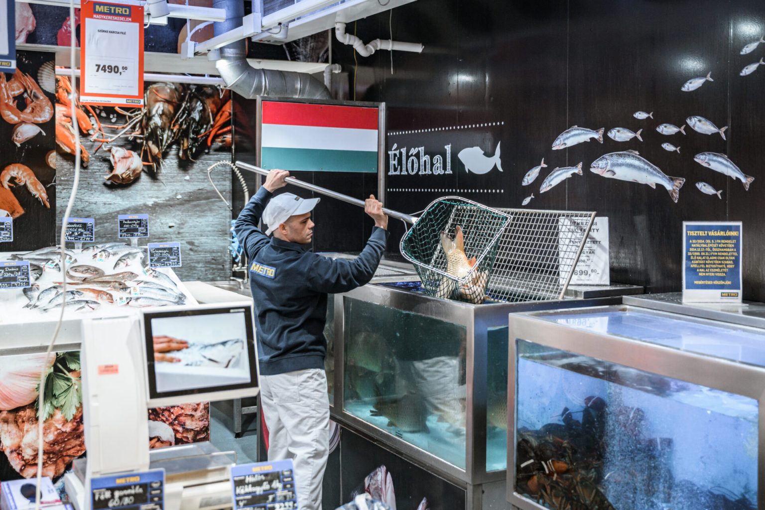 Magyar Akvakultúra és Halászati Szakmaközi Szervezet